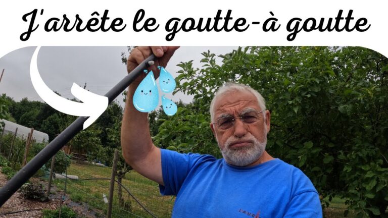 Les Avantages de l'Irrigation Goutte-à-Goutte Automatisée | Actualisé octobre 2025
